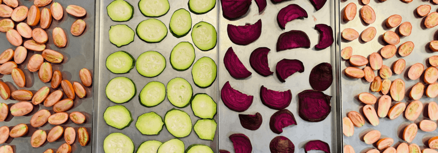 Freeze Drying vs. Dehydrating: Which is Best for Food Preservation?