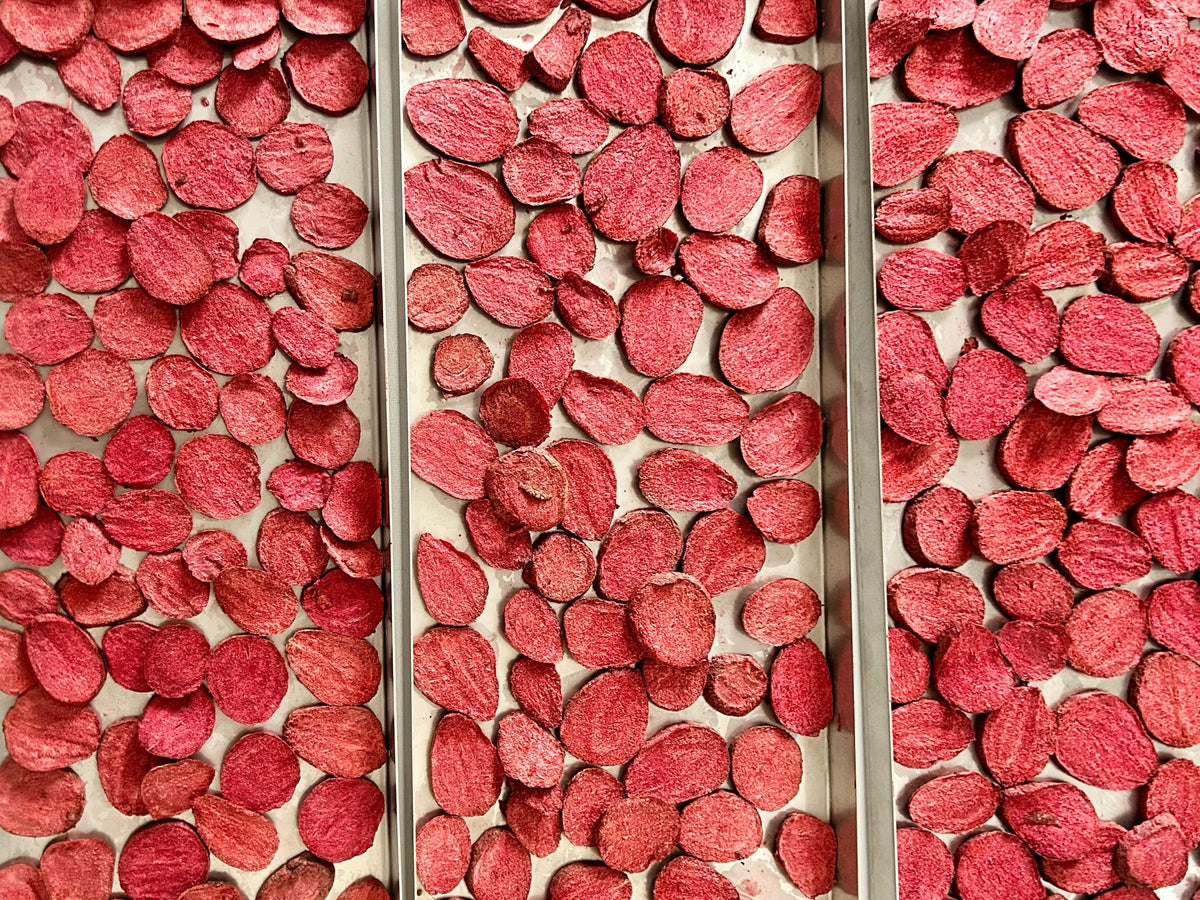 Freeze Drying Beet Chips: A Mess-Free, Healthy Snack