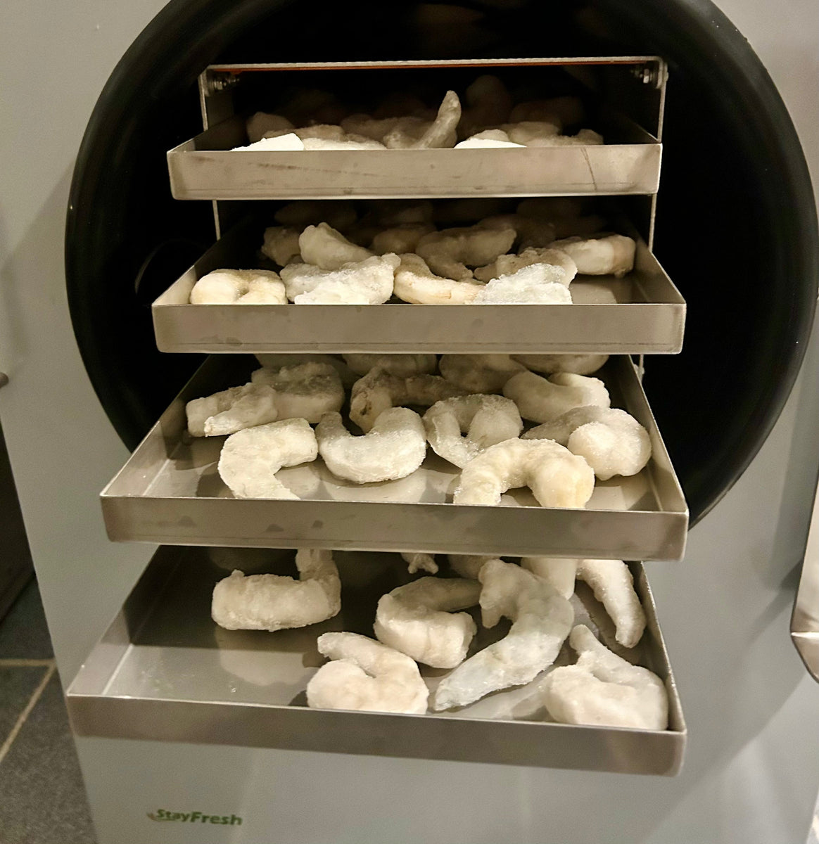 Freeze Drying Raw Shrimp: A Long-Lasting, Space-Saving Seafood Option